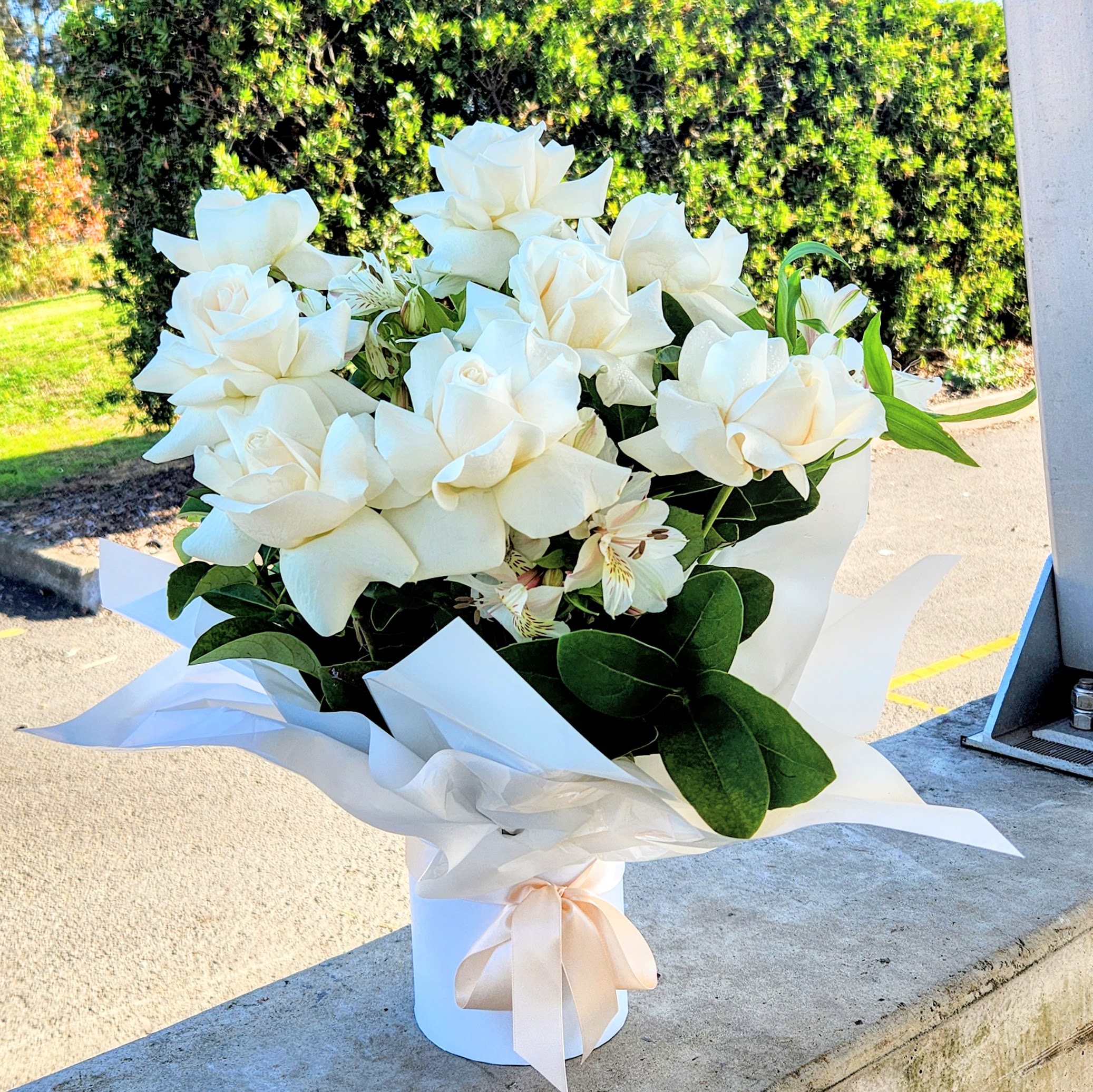 Elegant White Roses In A Box | Flowers With Passion Sydney