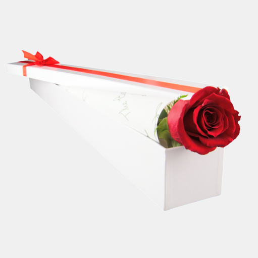 Single Long Stem Red Rose In Lidded Box | Flowers With Passion Sydney